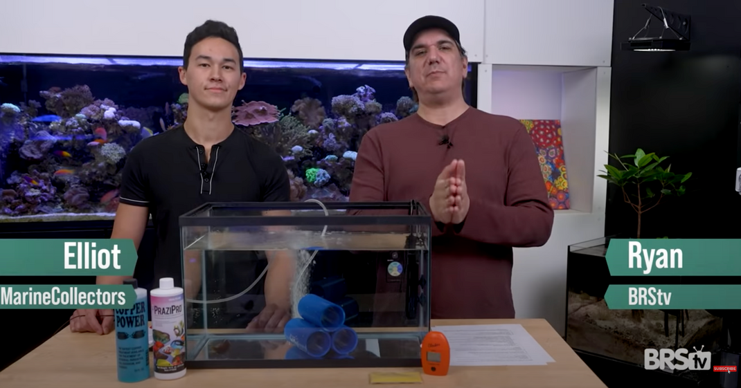 How-To Videos – Marine Collectors